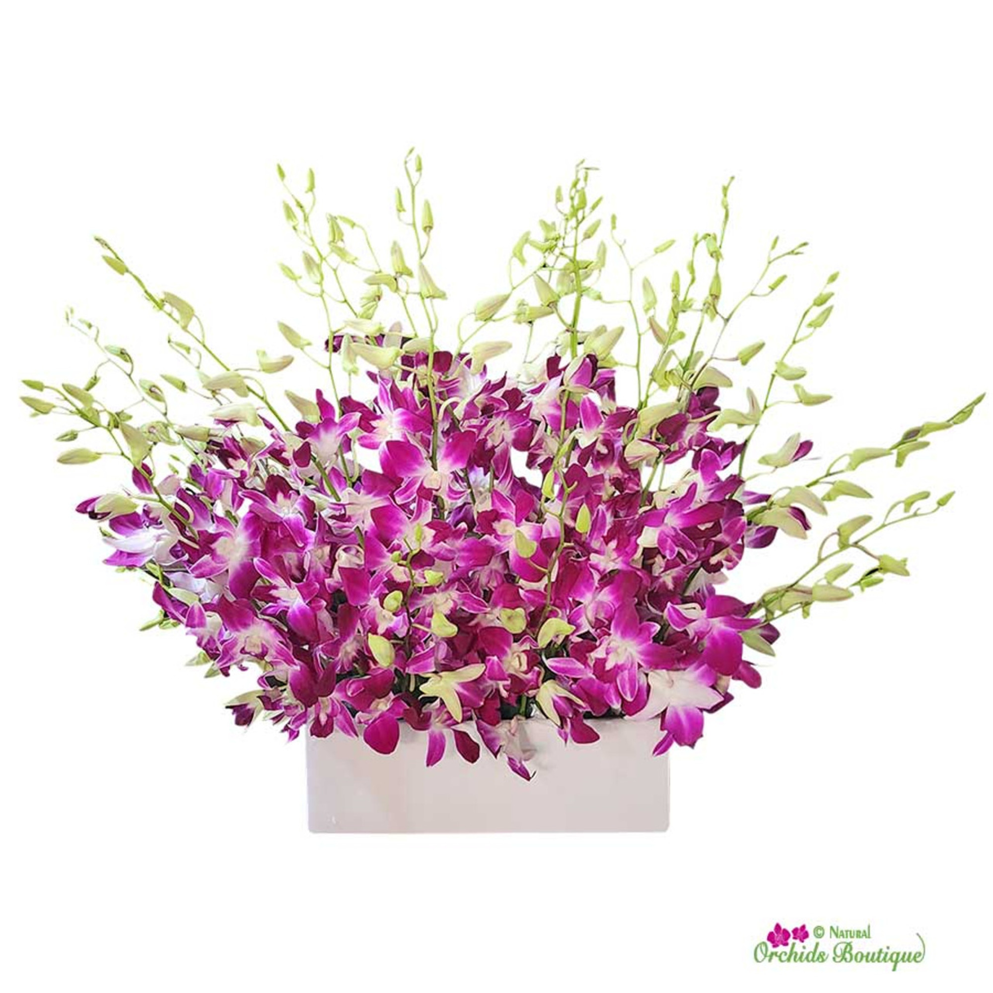 Natural Orchids Boutique - Wild Dendrobium Orchid Flower Arrangement ...