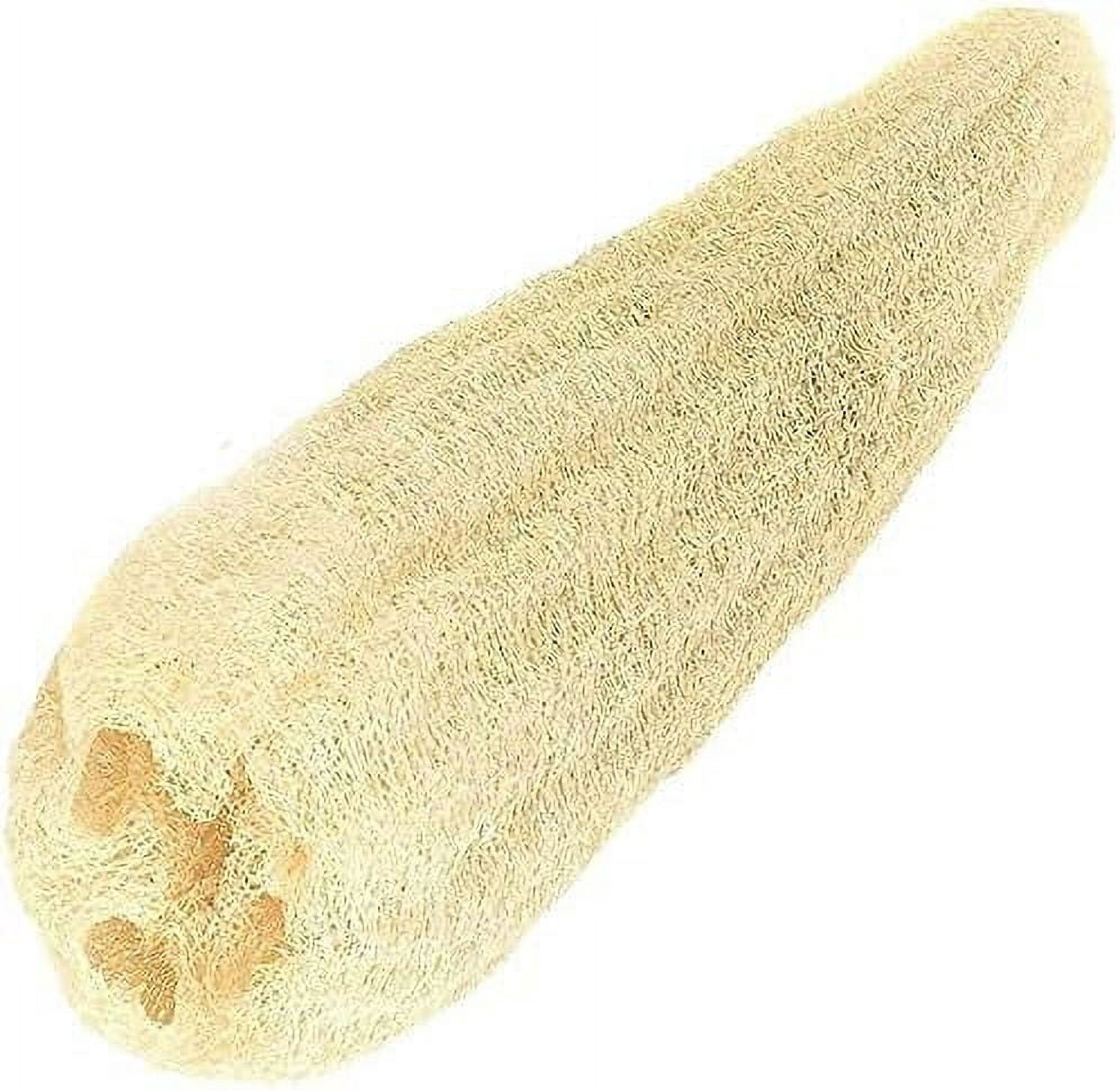 Natural Organic 22 in Loofah Sponges, Large Exfoliating Shower Loofah ...