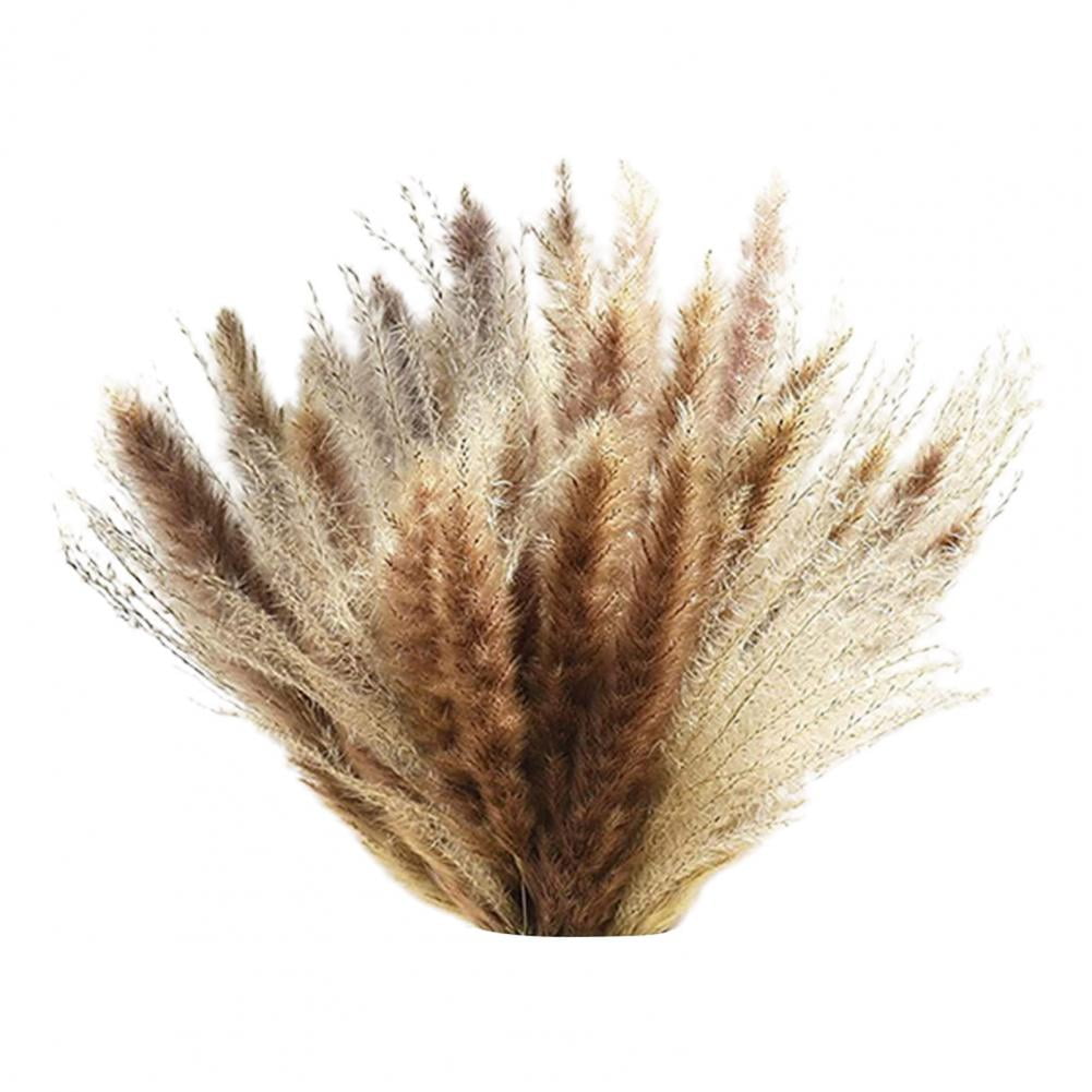 Natural Pampas Grass Dried Flower Bouquet Bohemian Style Free-spirited ...
