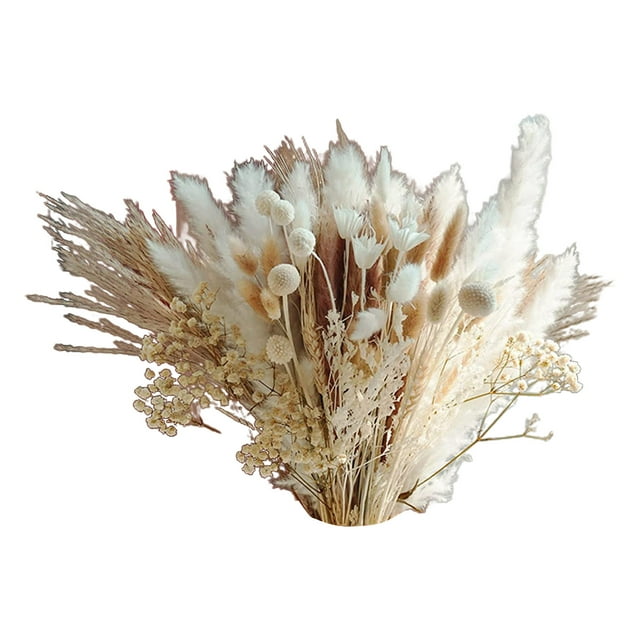 Natural Pampas Grass Dried Flower Bouquet Bohemian Style Free-spirited ...
