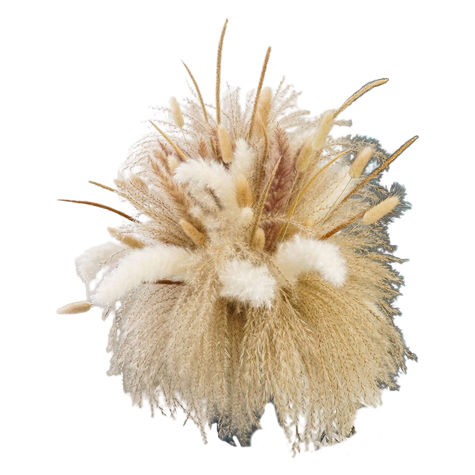 Natural Pampas Grass Dried Flower Bouquet Bohemian Style Free-spirited ...