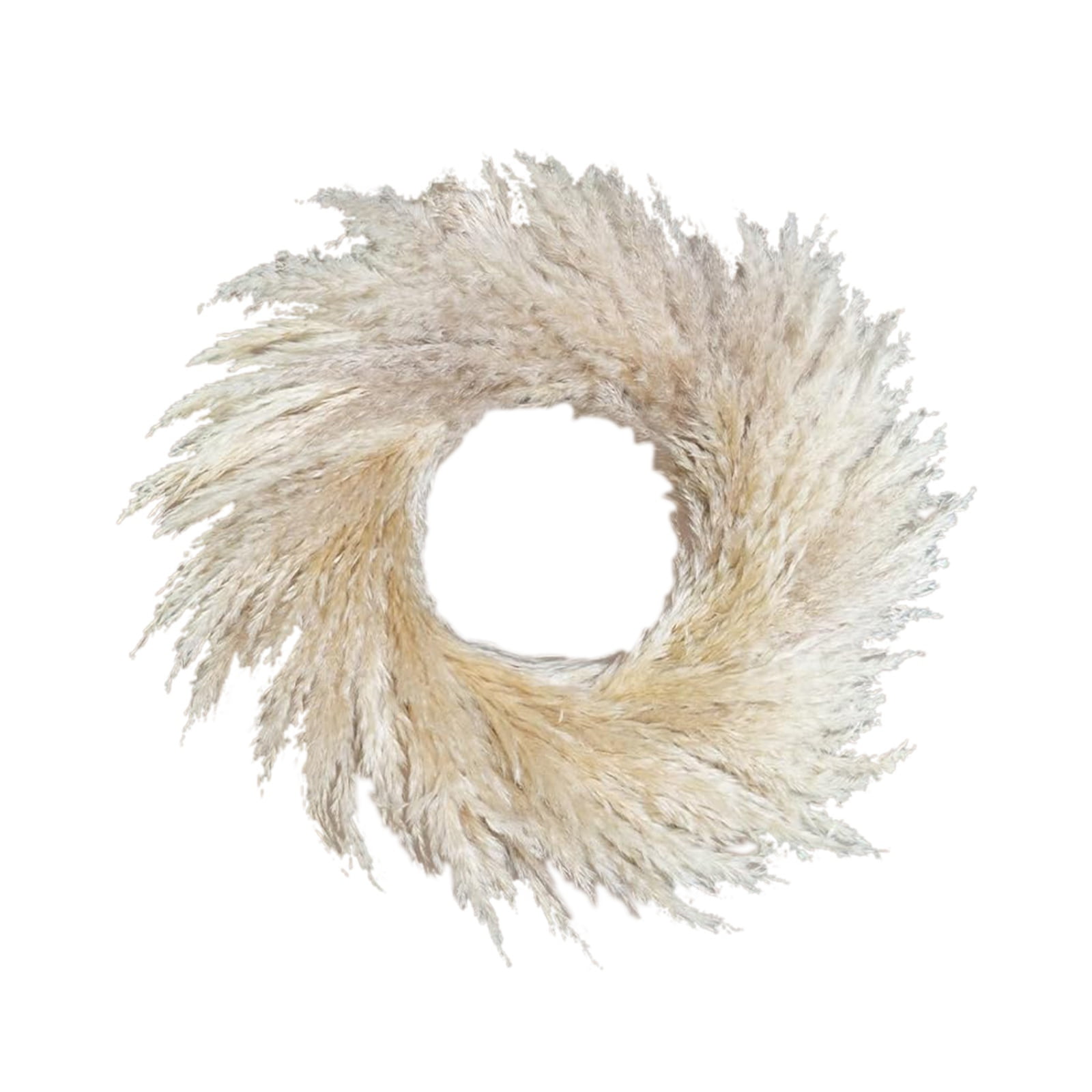 Natural Pampas Grass Wreath, 14'' Real Pampas Wreath for Front Door ...