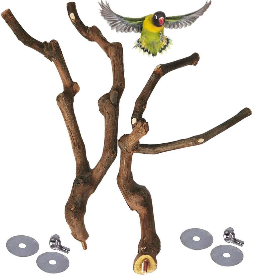 Natural Parrot Perch Bird Stand Pole Wild Grape Stick Paw Grinding Fork ...