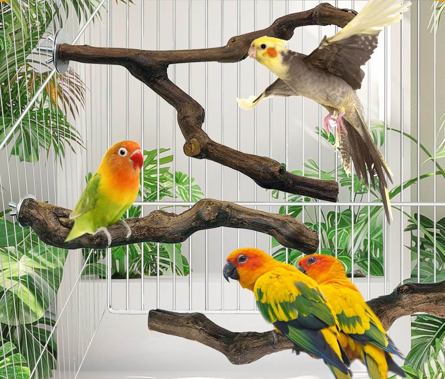 Natural Parrot Perch for Cage Wooden Bird Perches Grape Bird Stick ...