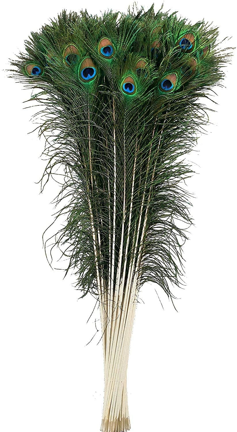Natural Peacock Feather Mor Pankh 12 Inches Real Peacock Feather Tails ...