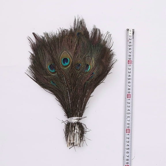 Natural Feathers