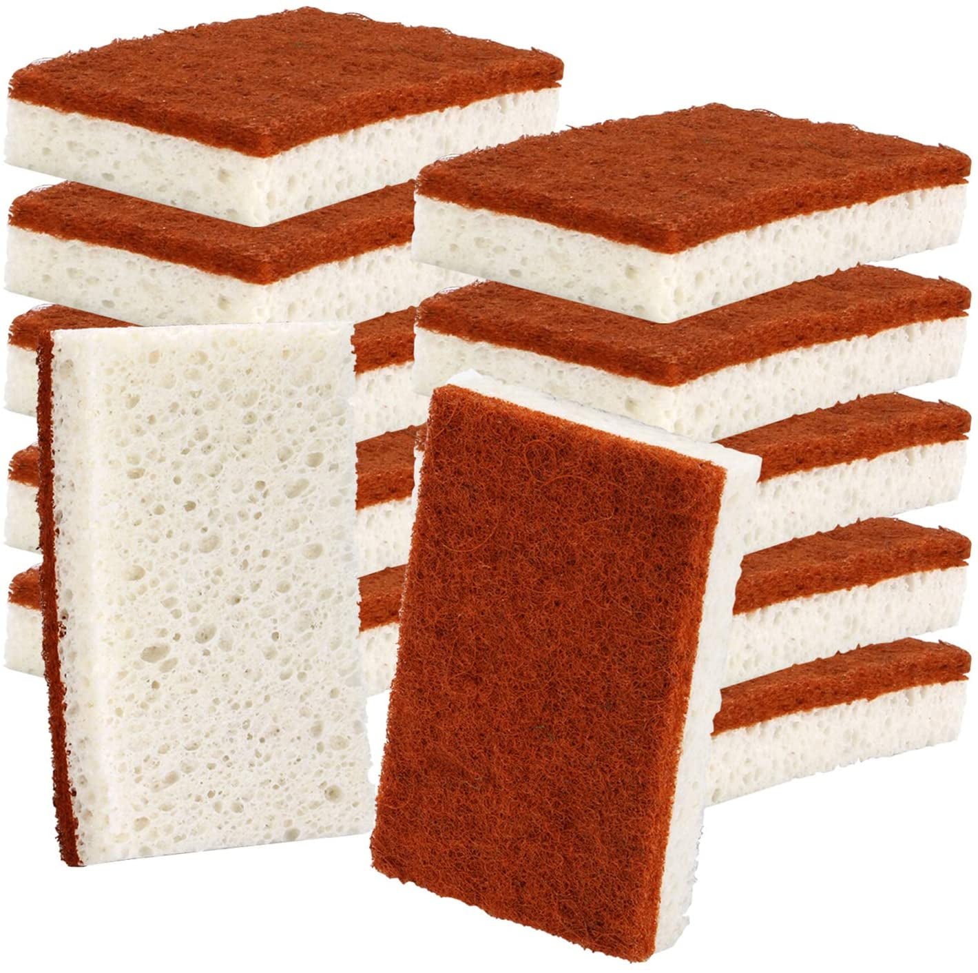Natural Plant Based Scrub Sponge 12 Pack, Palm Fiber Scrubbing Sponge ...