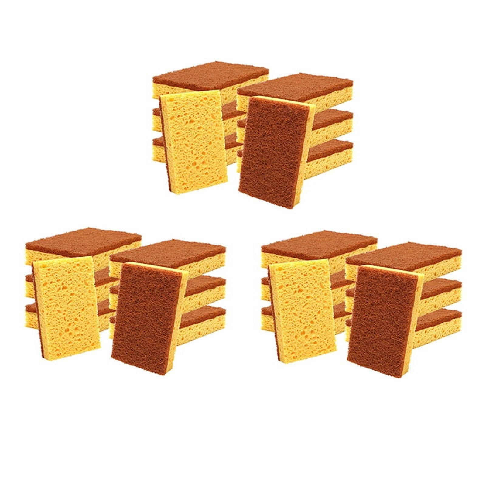 Natural Plant Based Scrub Sponge 24 Pack,Palm Fiber Scrubber Sponge ...