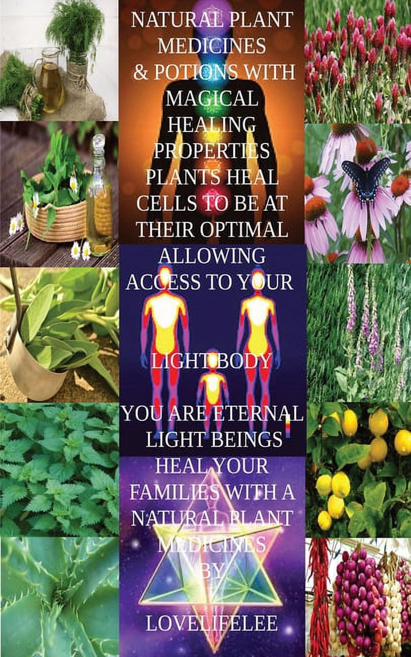 Natural Plant Medicines & Potions with Magical Healing Proprties ...