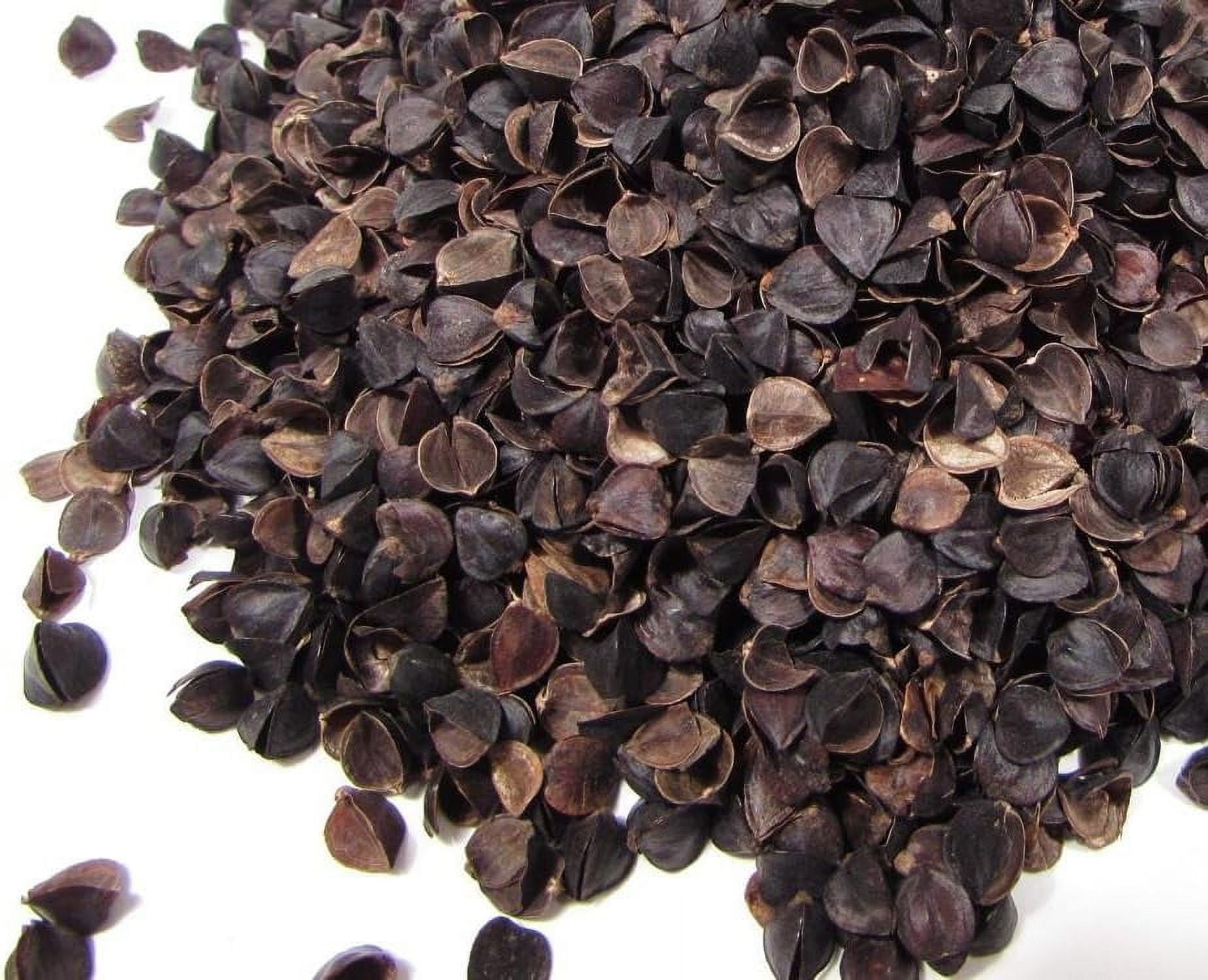 Natural Premium Organic Buckwheat Hulls - 10 Pounds - Walmart.com