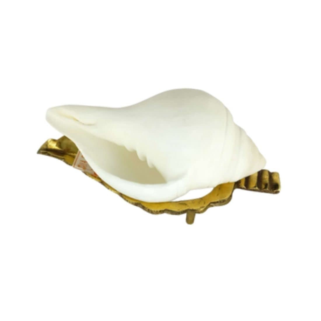 Natural Puja Shankha/Jal Sankha | White Conch Shells with Sankha Stand ...
