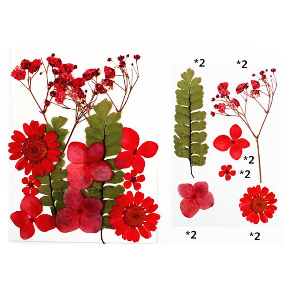 Natural Real Dried Flower Plants For Candle Epoxy Resin Jewelry Making ...