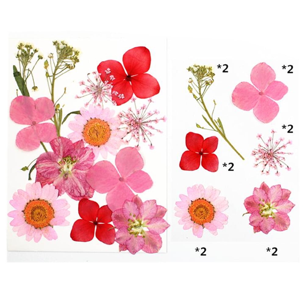 Natural Real Dried Flower Plants For Candle Epoxy Resin Jewelry Making ...
