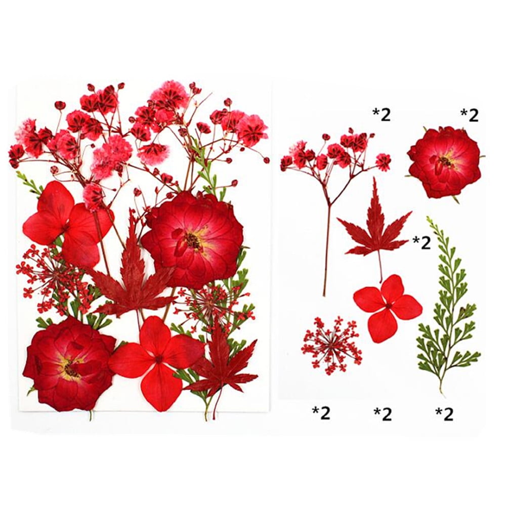 Natural Real Dried Flower Plants For Candle Epoxy Resin Jewelry Making ...