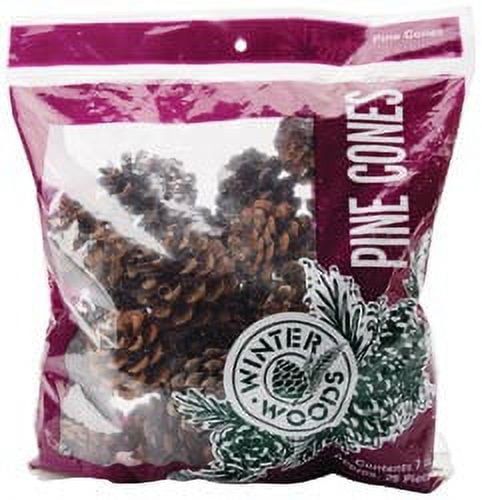 Natural Red Pine Cones 7oz/Pkg - Walmart.com