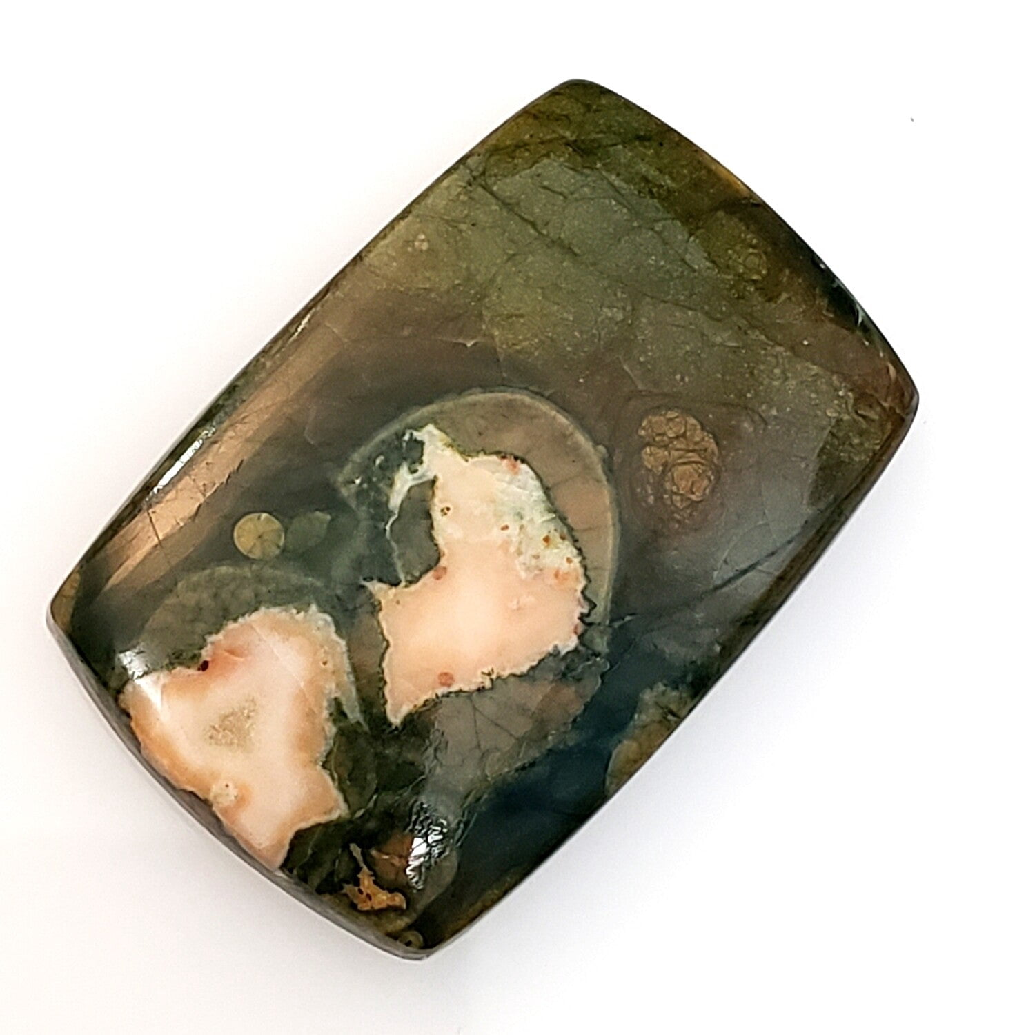 Natural Rhyolite Rainforest Jasper Cabochon 33x22mm - Walmart.com