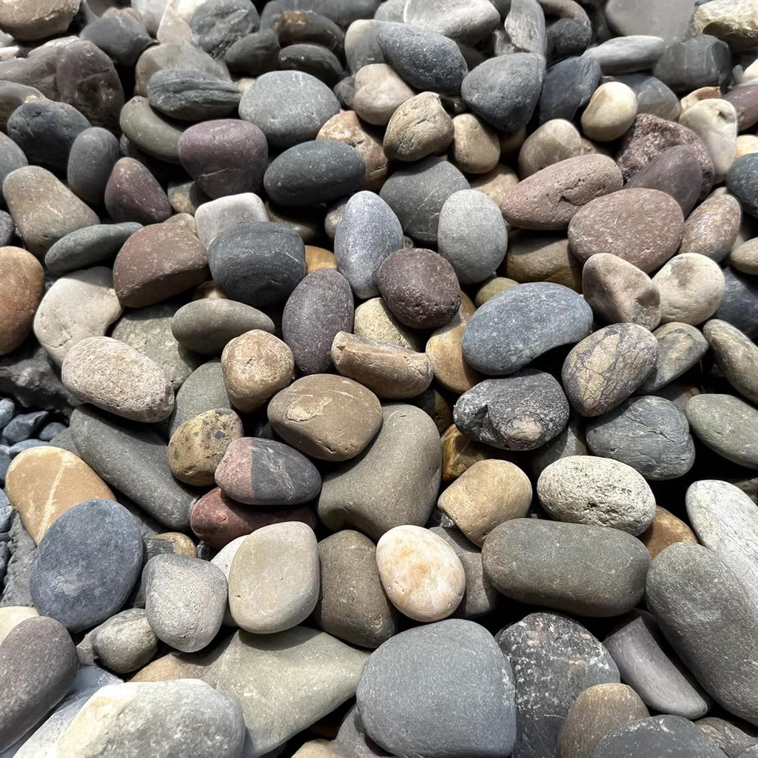 Natural River Rocks-40 lbs of Pebbles and River Stones,2-3 Inch Plant ...