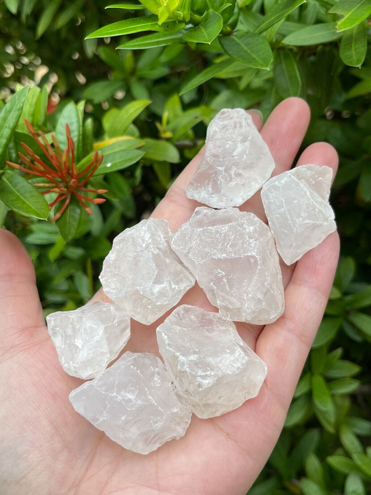 Natural Rough Clear Quartz Chunks, 1-2" Raw Clear Quartz, Pick How Many ...