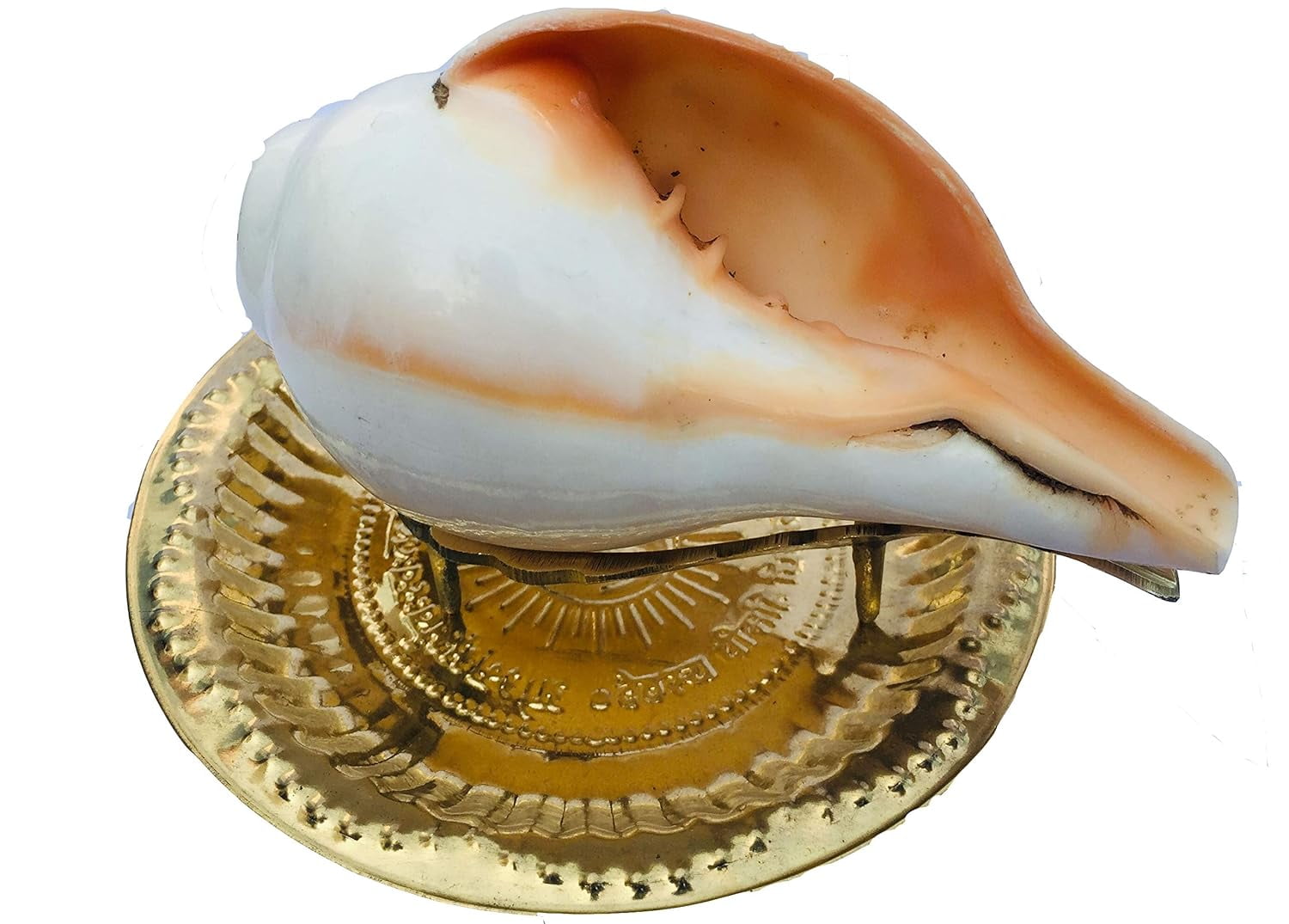 Natural Sacred Puja Blowing Shankh/Shanku/Conch with Brass Shank Stand ...