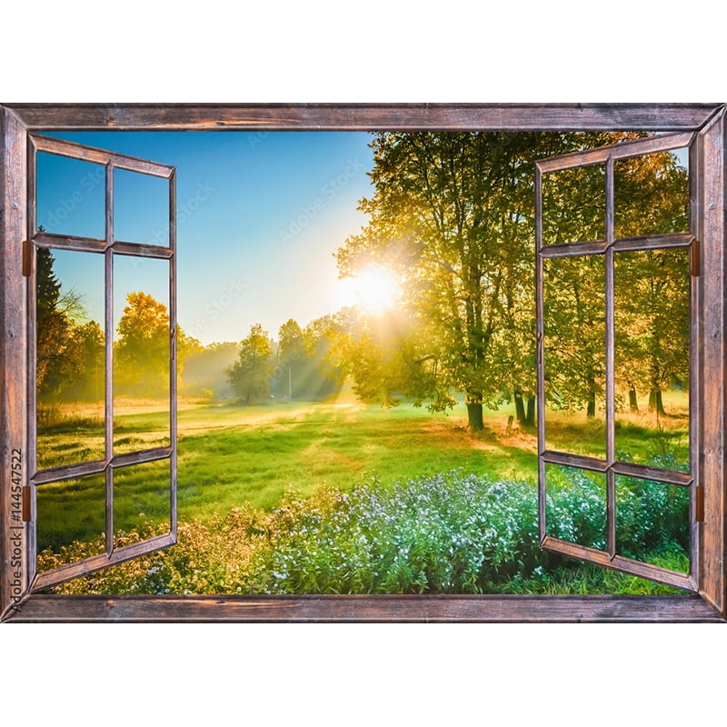 Natural Scenery Outside The Window Photography Backgrounds Props Flower ...