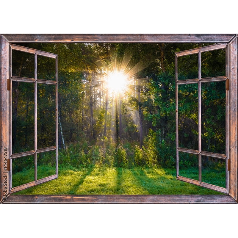 Natural Scenery Outside The Window Photography Backgrounds Props Flower ...