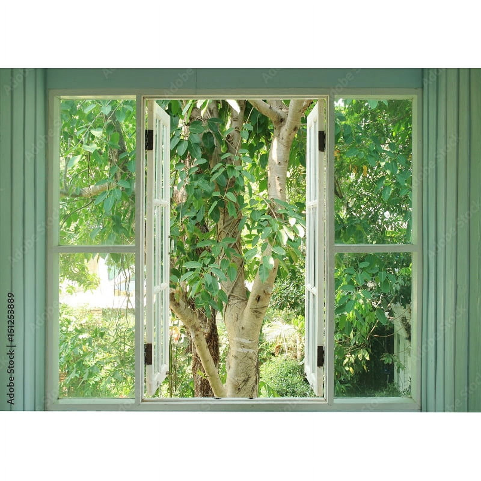 Natural Scenery Outside The Window Photography Backgrounds Props Flower ...
