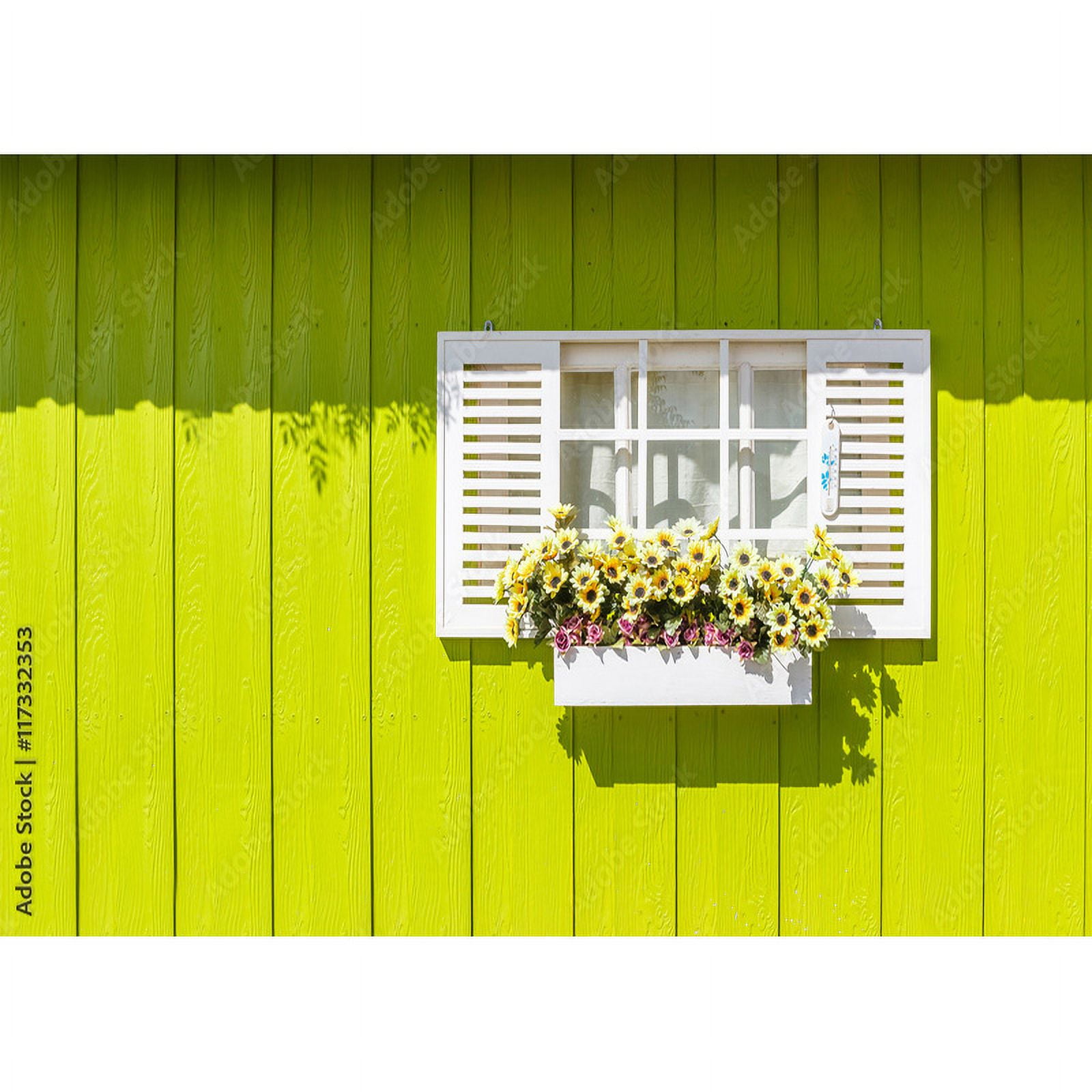 Natural Scenery Outside The Window Photography Backgrounds Props Flower ...