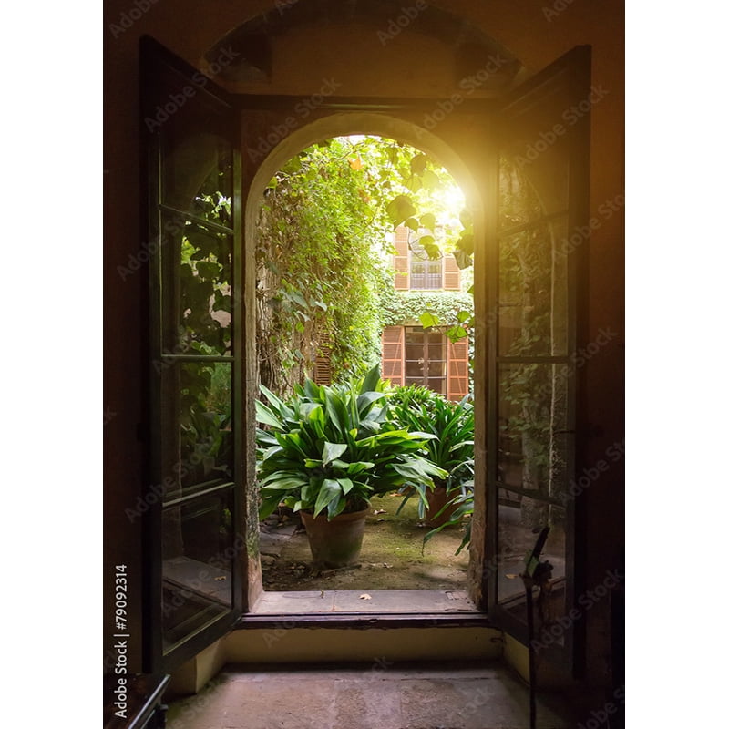 Natural Scenery Outside The Window Photography Backgrounds Props Flower ...
