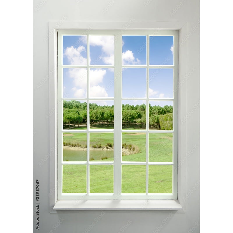 Natural Scenery Outside The Window Photography Backgrounds Props Flower ...