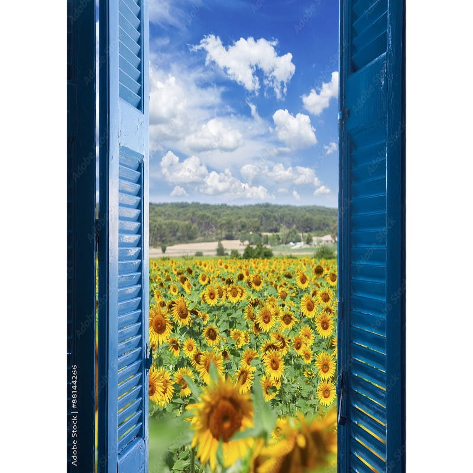 Natural Scenery Outside The Window Photography Backgrounds Props Flower ...