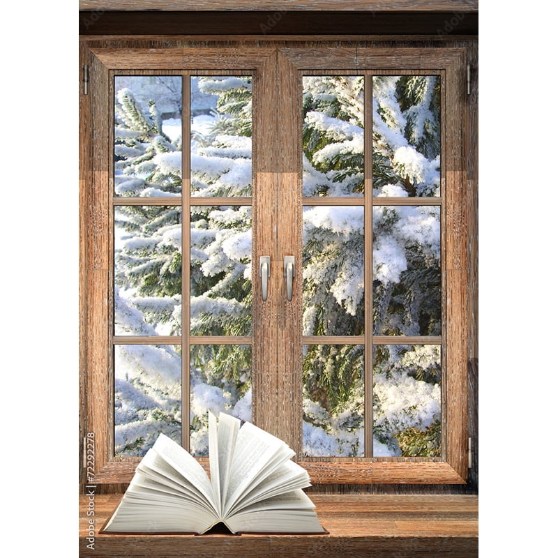 Natural Scenery Outside The Window Photography Backgrounds Props Flower ...