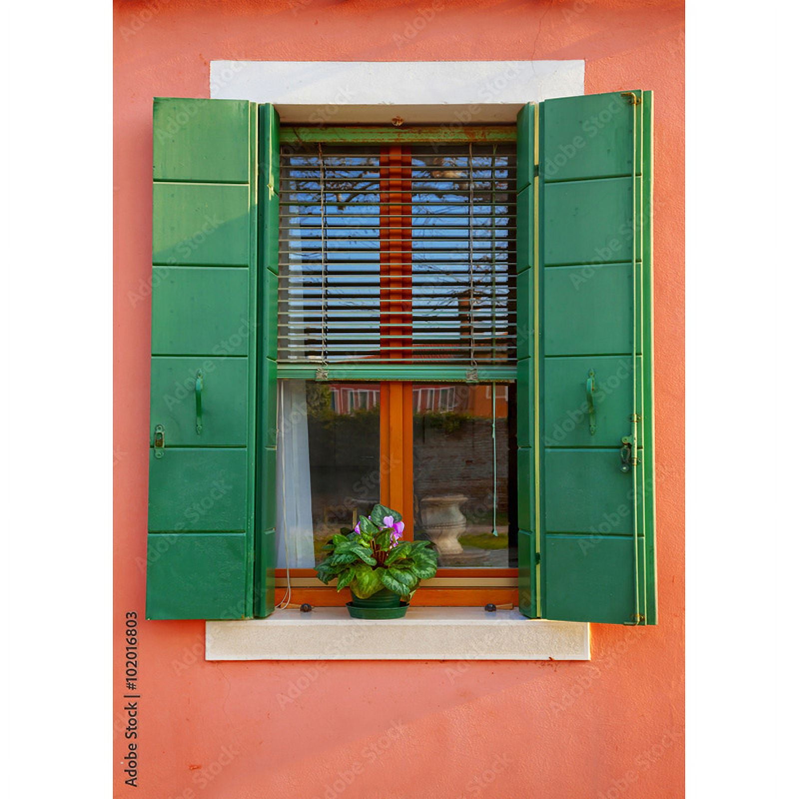 Natural Scenery Outside The Window Photography Backgrounds Props Flower ...