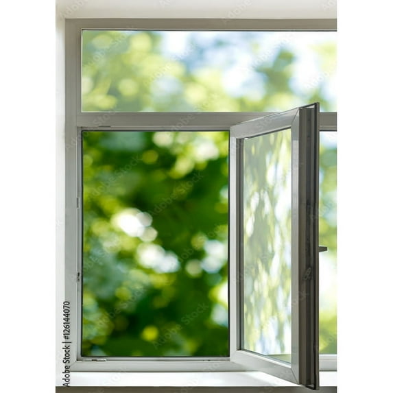 Natural Scenery Outside The Window Photography Backgrounds Props Flower ...