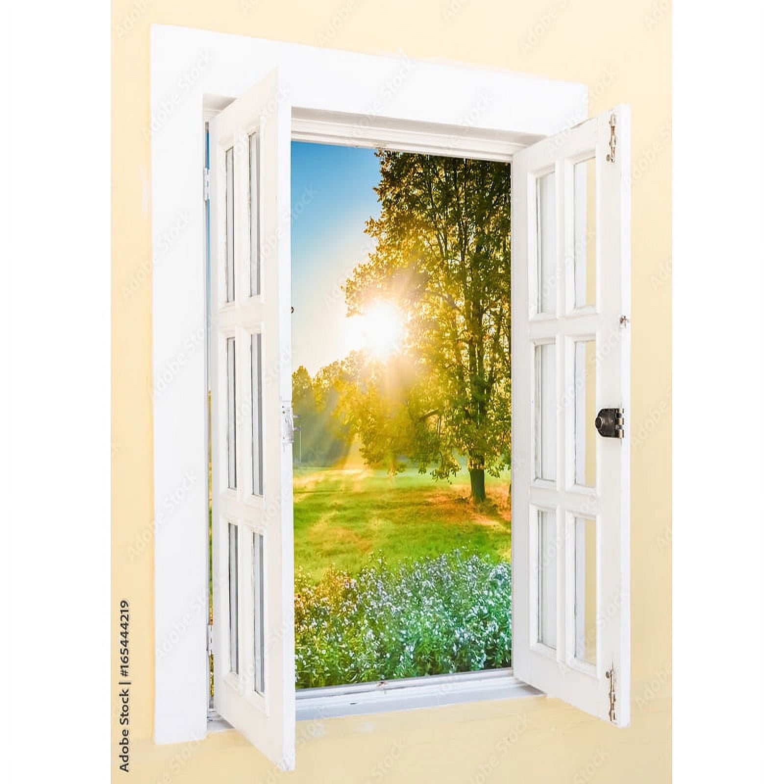 Natural Scenery Outside The Window Photography Backgrounds Props Flower ...