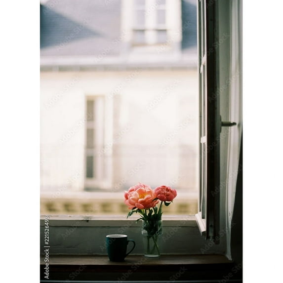 Natural Scenery Outside The Window Photography Backgrounds Props Flower ...