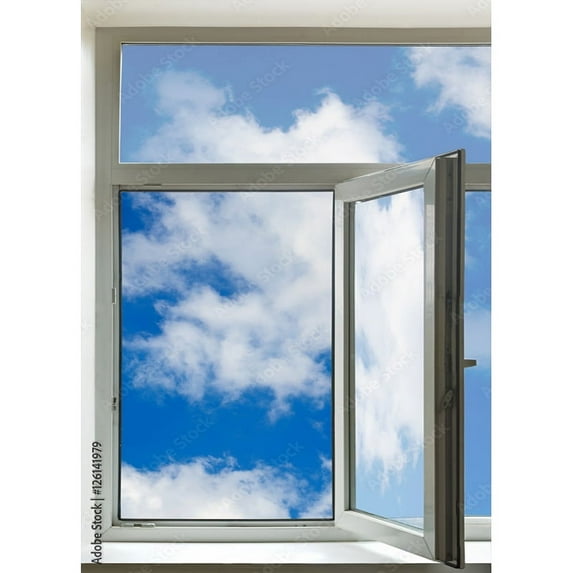 Natural Scenery Outside The Window Photography Backgrounds Props Flower ...