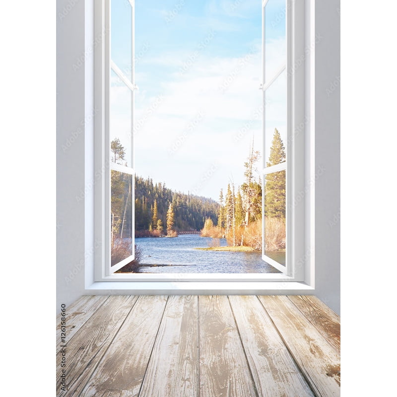 Natural Scenery Outside The Window Photography Backgrounds Props Flower ...