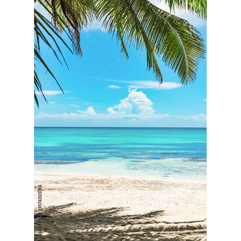 Natural Scenery Outside The Window Photography Backgrounds Props Flower ...