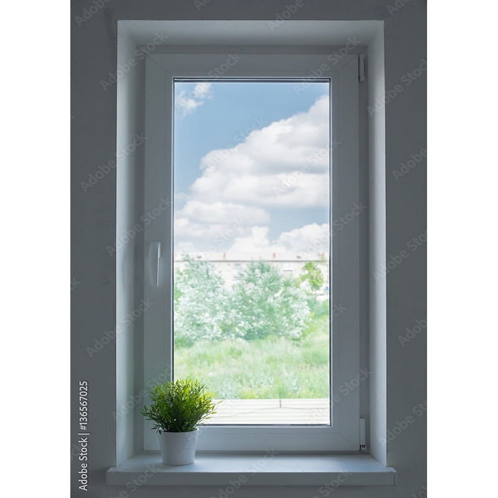 Natural Scenery Outside The Window Photography Backgrounds Props Flower ...