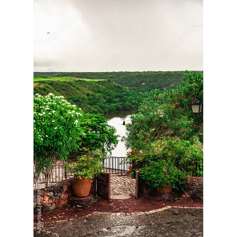 Natural Scenery Outside The Window Photography Backgrounds Props Flower ...