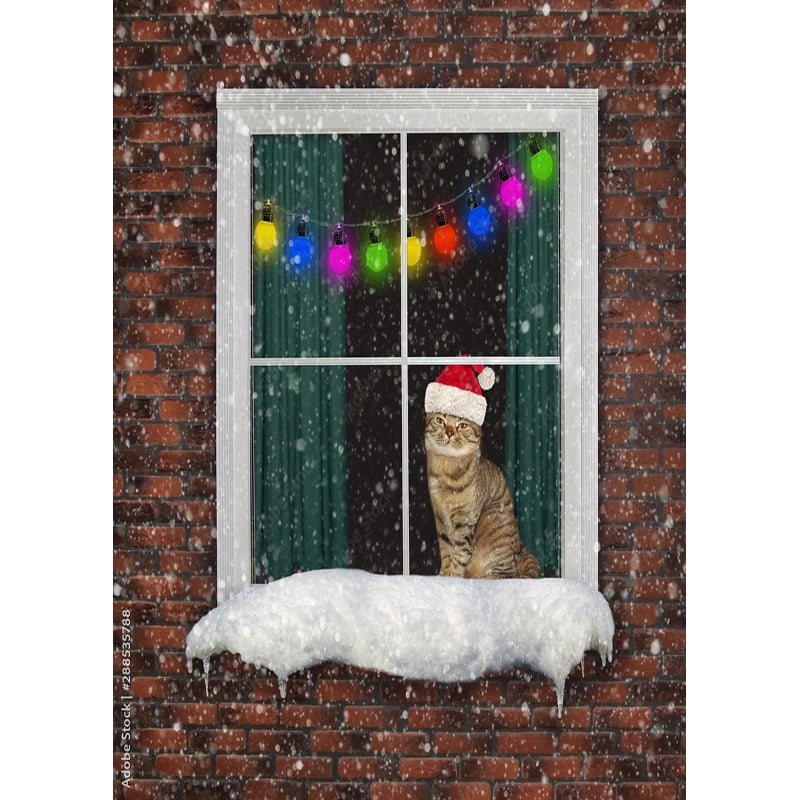 Natural Scenery Outside The Window Photography Backgrounds Props Flower ...