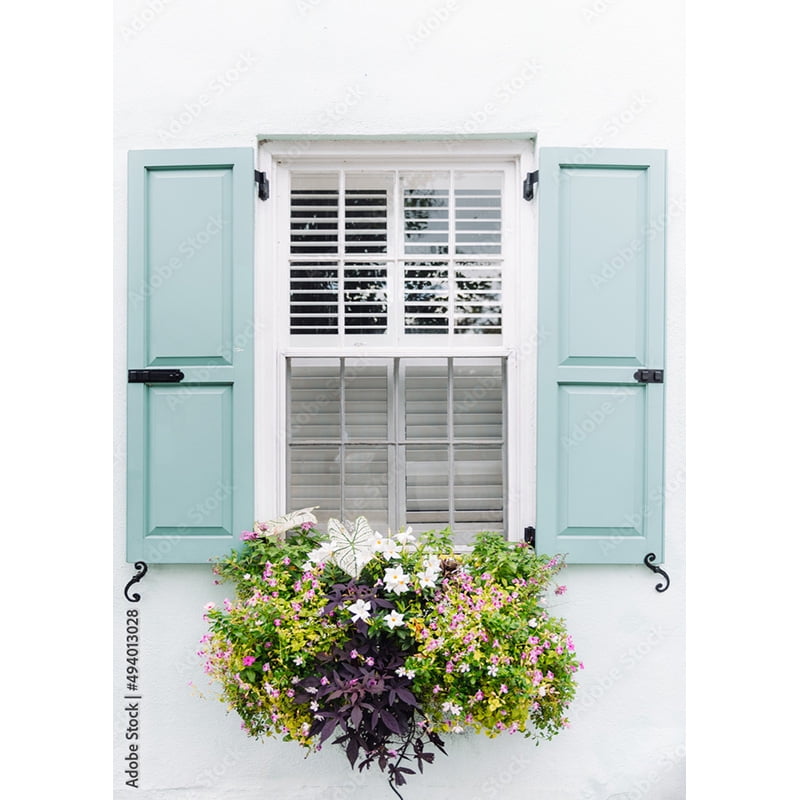 Natural Scenery Outside The Window Photography Backgrounds Props Flower ...
