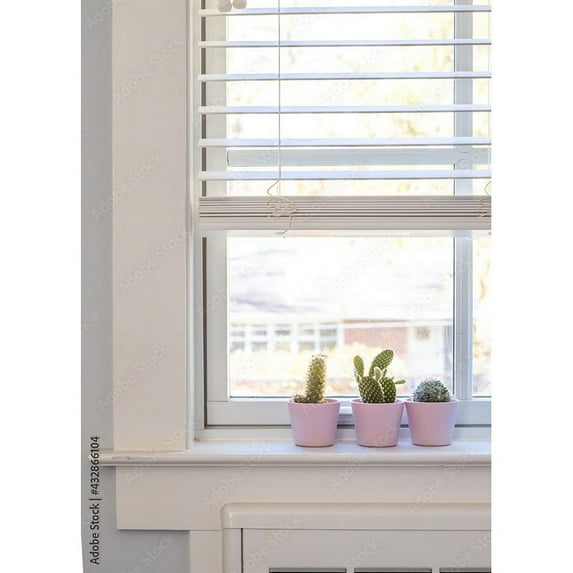 Natural Scenery Outside The Window Photography Backgrounds Props Flower ...