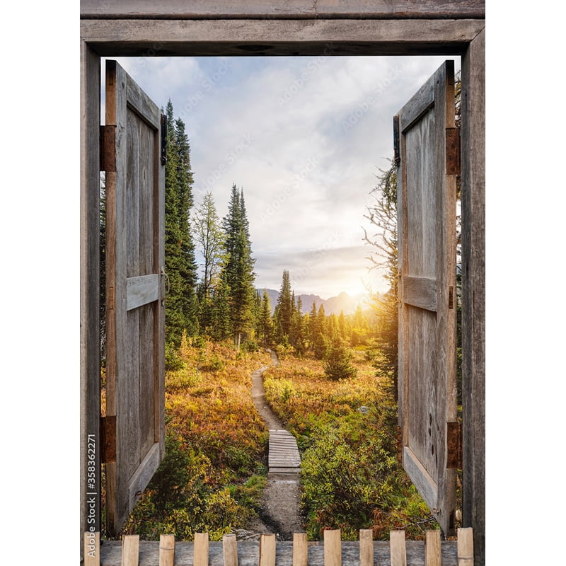 Natural Scenery Outside The Window Photography Backgrounds Props Flower ...