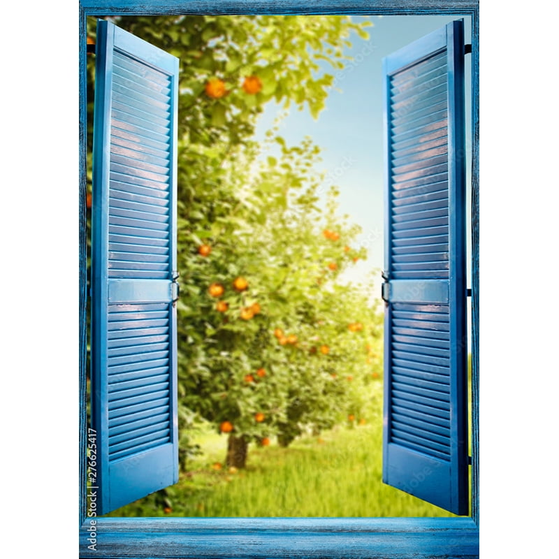 Natural Scenery Outside The Window Photography Backgrounds Props Flower ...