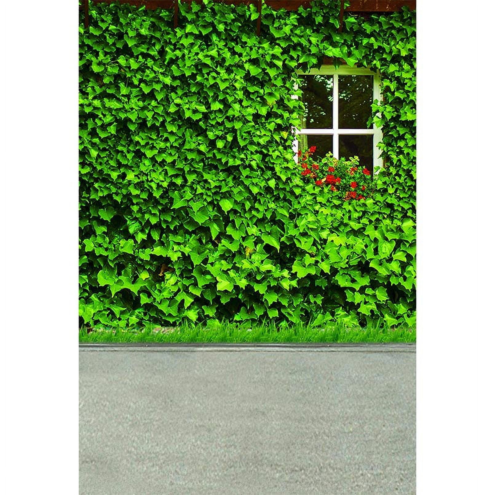 Natural Scenery Photography Backdrops Window Ivy Backgrounds for Photo ...