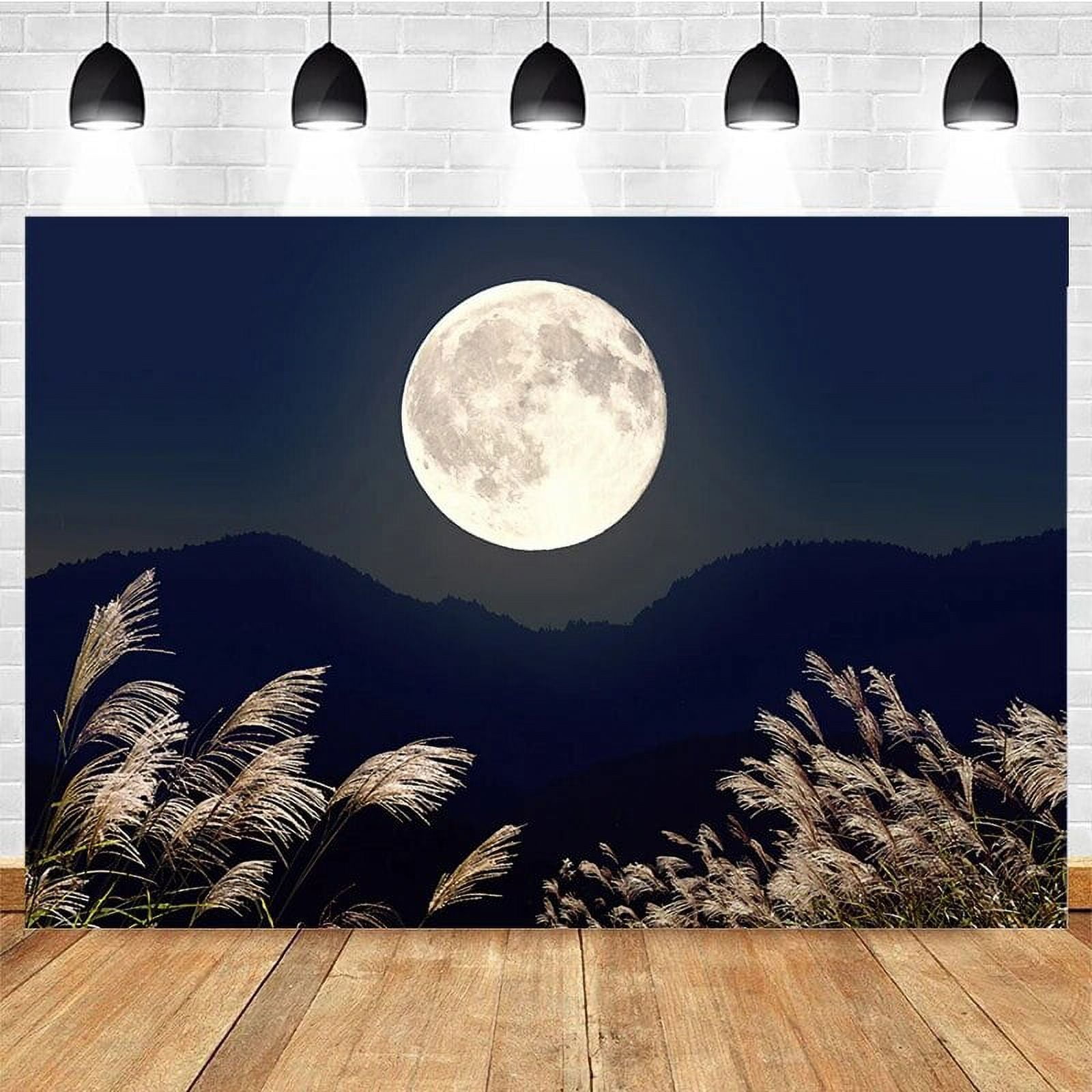 Natural Scenery Photography Background Dark Night Super Moon Reed ...