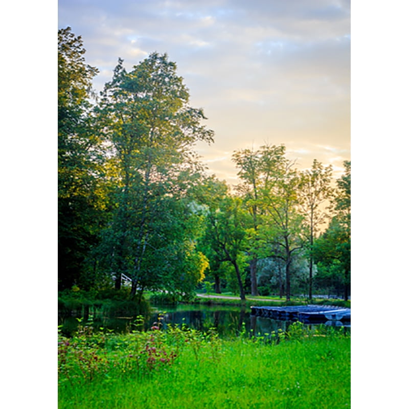 Natural Scenery Photography Background Flowers And Plants Forest Travel ...