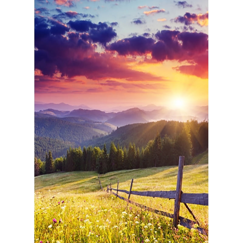 Natural Scenery Photography Background Flowers And Plants Forest Travel ...