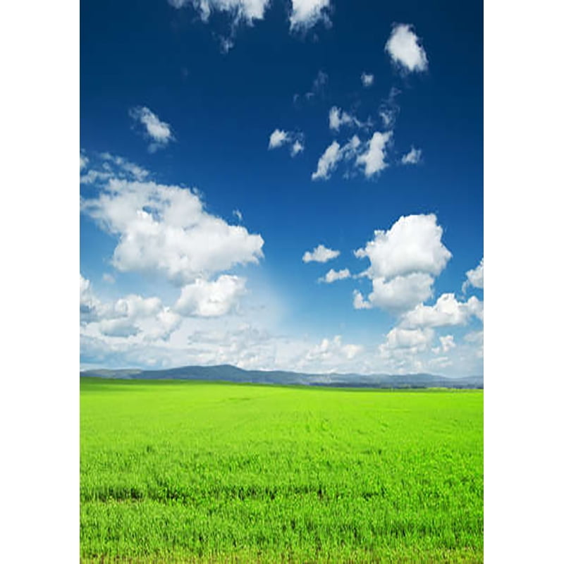 Natural Scenery Photography Background Flowers And Plants Forest Travel ...